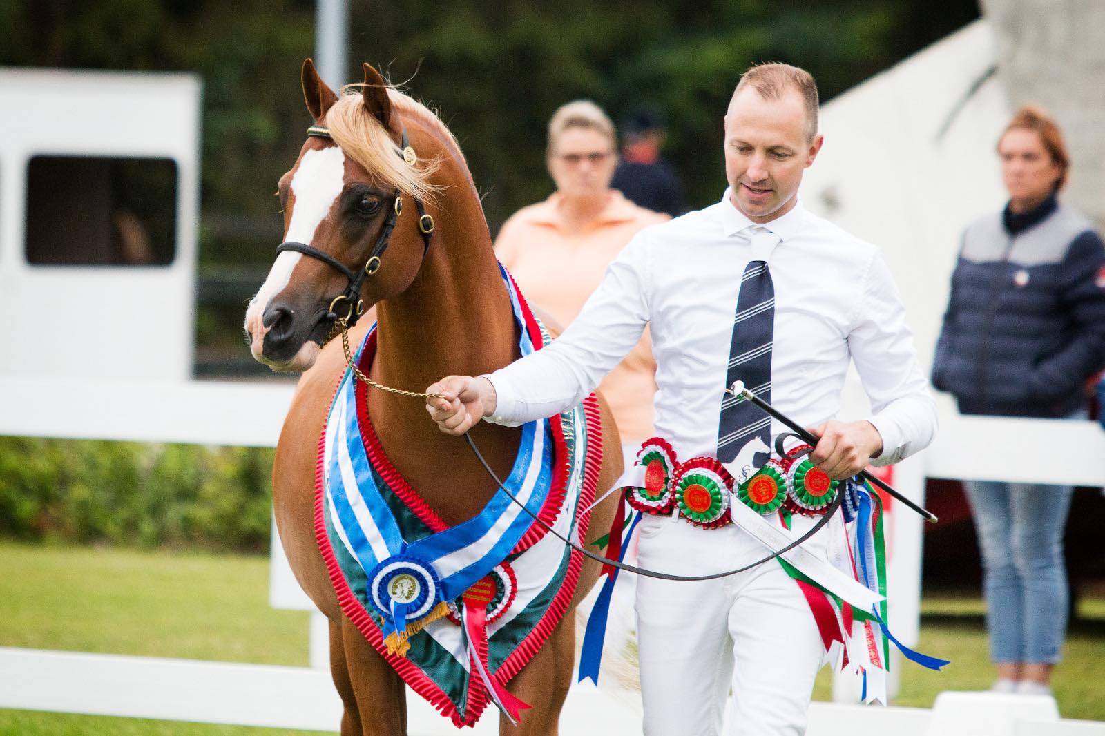 Even bellen met ... Geert Verbaas - NWPCS