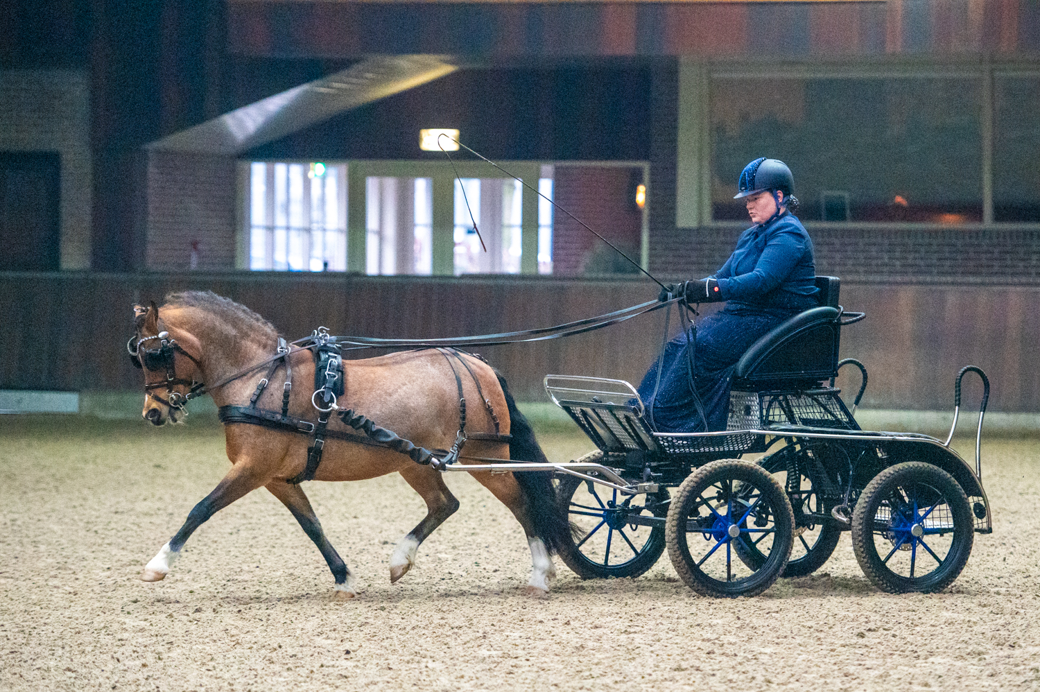 IBOP: geef je nu op! - NWPCS