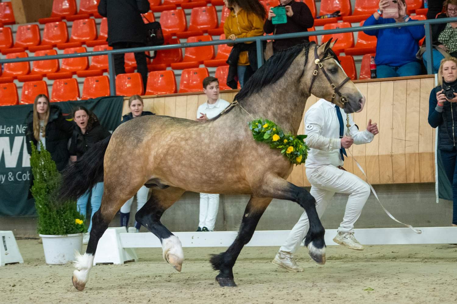 CHK 2024: Fjordglimt Golden Dean dagkampioen - NWPCS